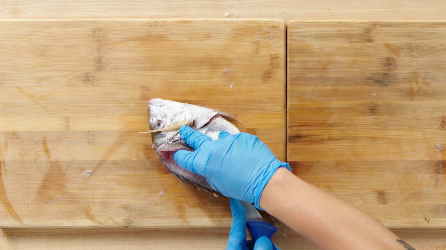 How to Get Fish Smell Out of House? - Cleaning Tips