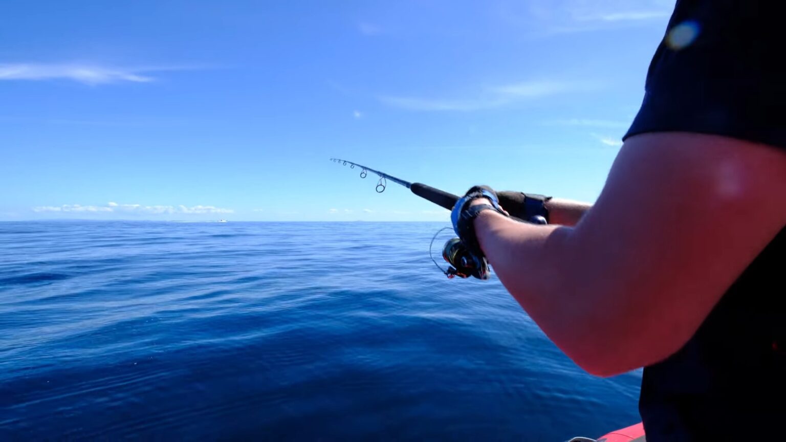 13 Best Kingfish Reels in 2024 - Pick the Best for You!