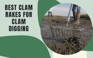 11 Best Clam Rake for Clam Digging 2025 - Shellfishing Equipment