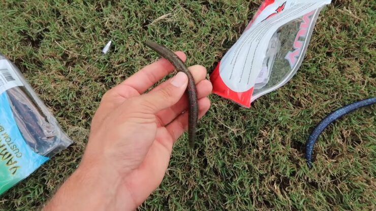 Beginner's Guide to Senkos - How to Fish with Senko Worms