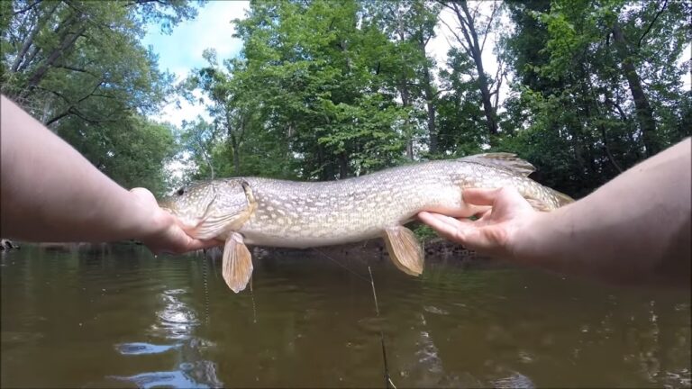 How to Fish Pike and What Are The Best Flies For Pike?