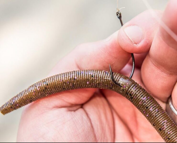 How to Fish With Wacky Worms - Kayak Paddling