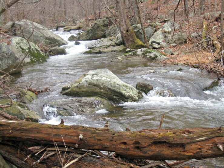 Where To Go Fly Fishing: 4 Ideal Spots To Catch Trout & More - Kayak ...