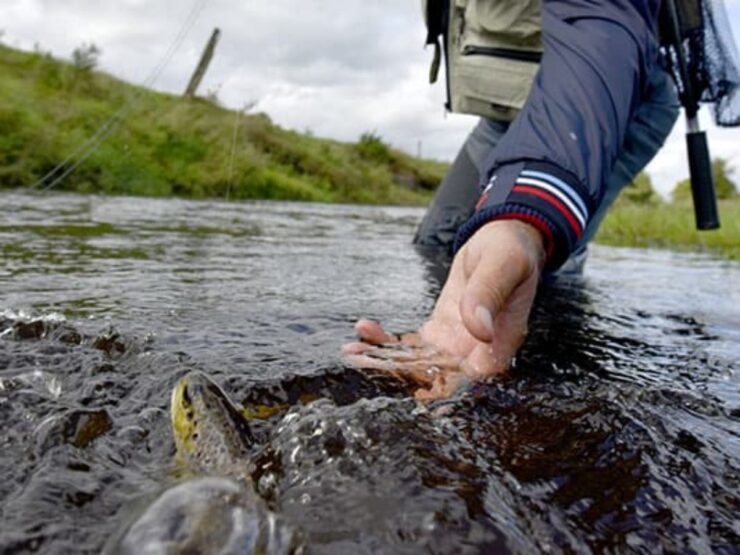 How To Catch Trout: The Nirvana Of The Fishing World - Kayak Paddling