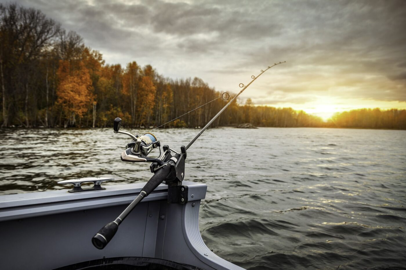 8 Best Spinning Rods For Trout 2023 - Buying Guide