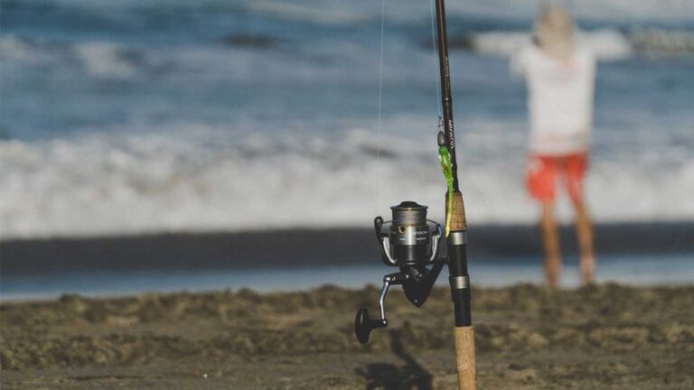 7 Best Surf Rod And Reel Combo 2024 - Top Picks