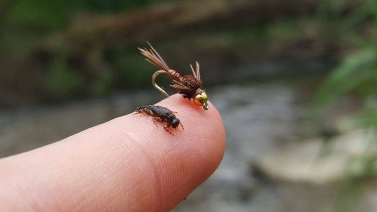 How to Choose a Freshwater Fly Selection - Kayak Paddling