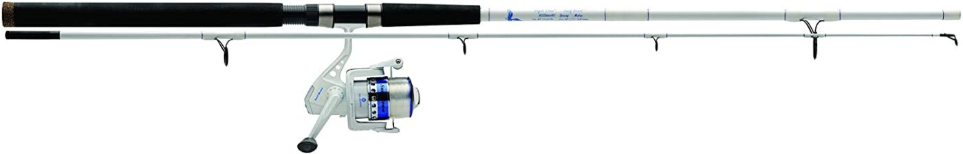 7 Best Surf Rod And Reel Combo 2022 - Top Picks