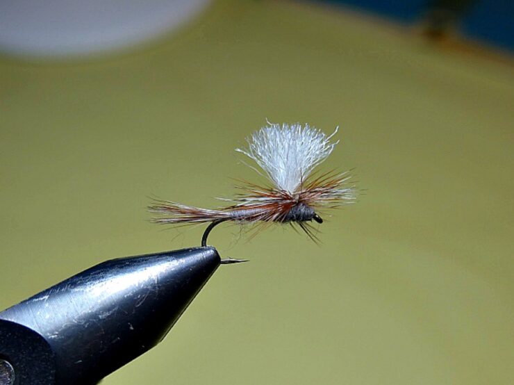 The Adams Dry Fly Pattern - Kayak Paddling