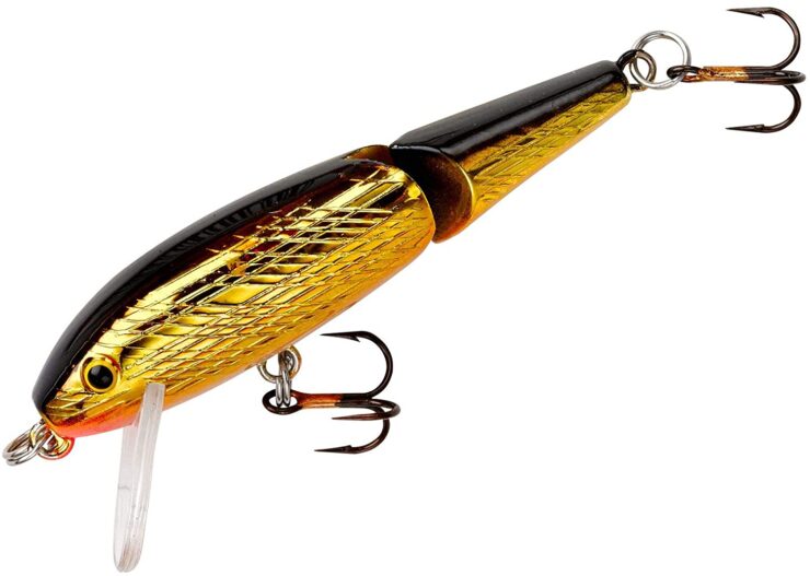 Jerk Baits For Bass Fishing 2024 - All You Need To Know