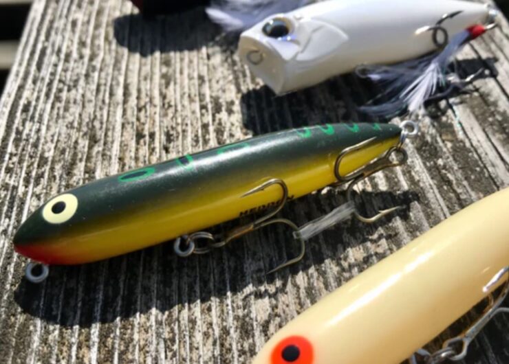 10 Best Fly Patterns Every Angler Needs 2025 - Wooly Bugger, Clouser Minnow
