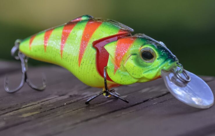 All You Need To Know About Crankbaits - History and Types