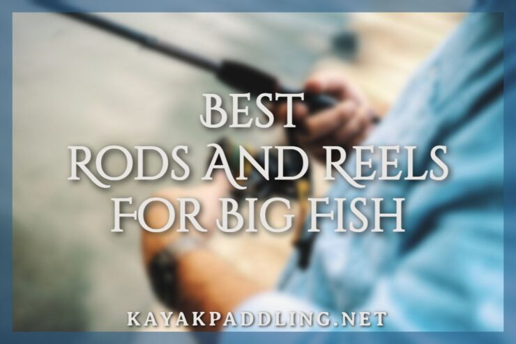 3 Best Rods And Reels For Big Fish 2022 - Versatile Fishing
