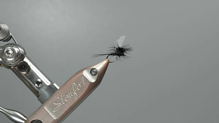 The Black Gnat Fly Pattern - 2025 Review