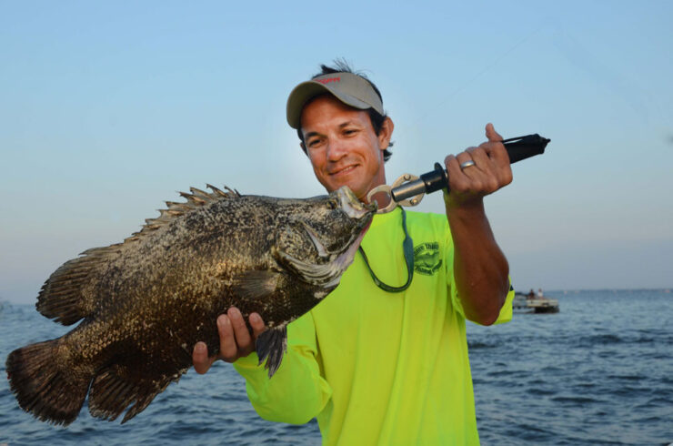 What Does Tripletail Fish Taste Like + Best Way to Cook It!