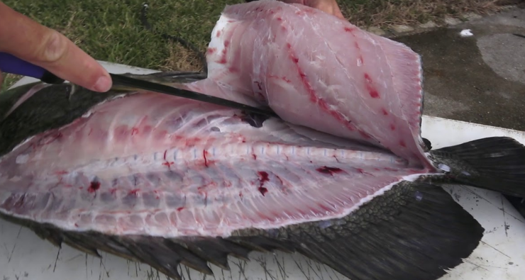 What Does Tripletail Fish Taste Like + Best Way to Cook It!