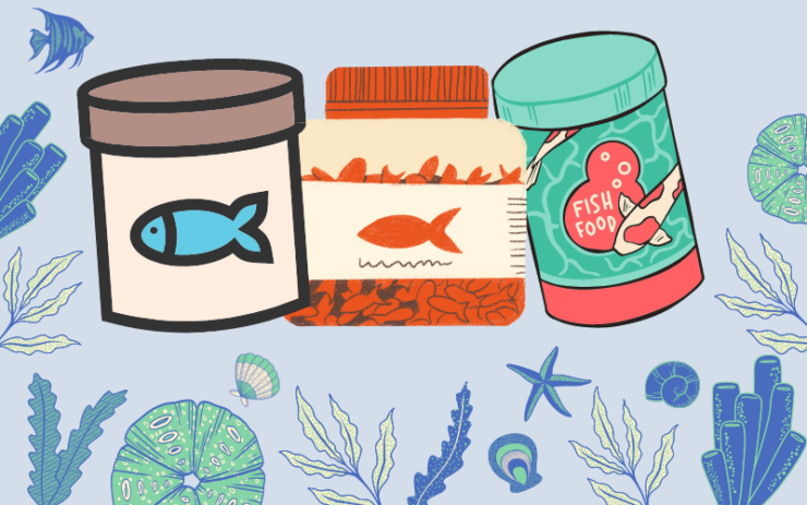 What Does Fish Poop Look Like?