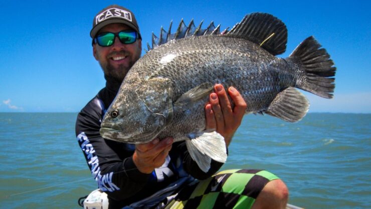 What Does Tripletail Fish Taste Like + Best Way to Cook It!