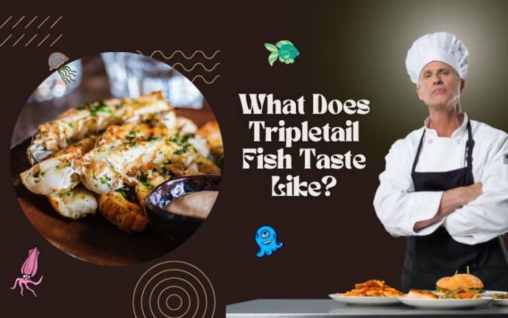 What Does Tripletail Fish Taste Like + Best Way to Cook It!