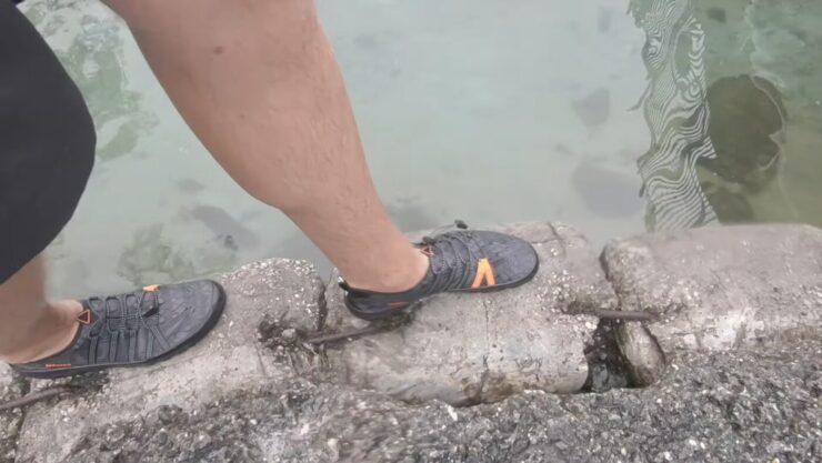 12 Best Water Socks in 2025 - Swim and Dive Tested