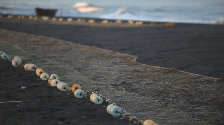 How To Throw A Cast Net In 6 Easy Steps