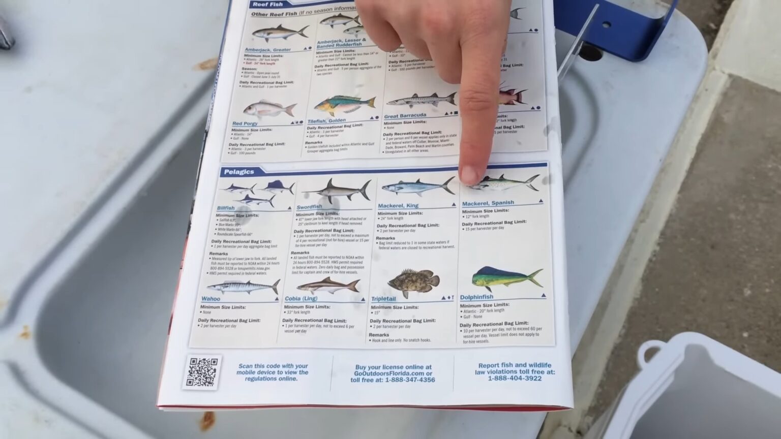 Length Or Weight? - How To Measure A Fish