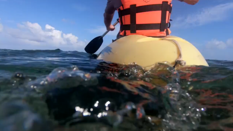 Expert Tips For Beginner Kayak Anglers - Stay Safe & Have Fun