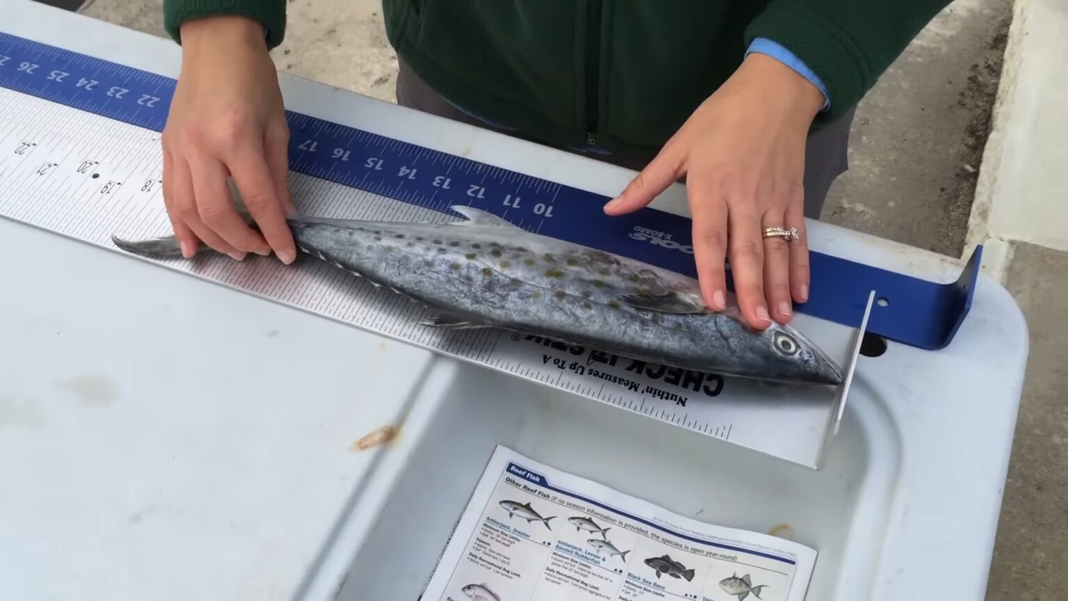 Length Or Weight? - How To Measure A Fish