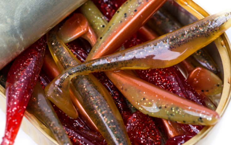 Types of Fishing Lures - Common Kinds of Lures Explained