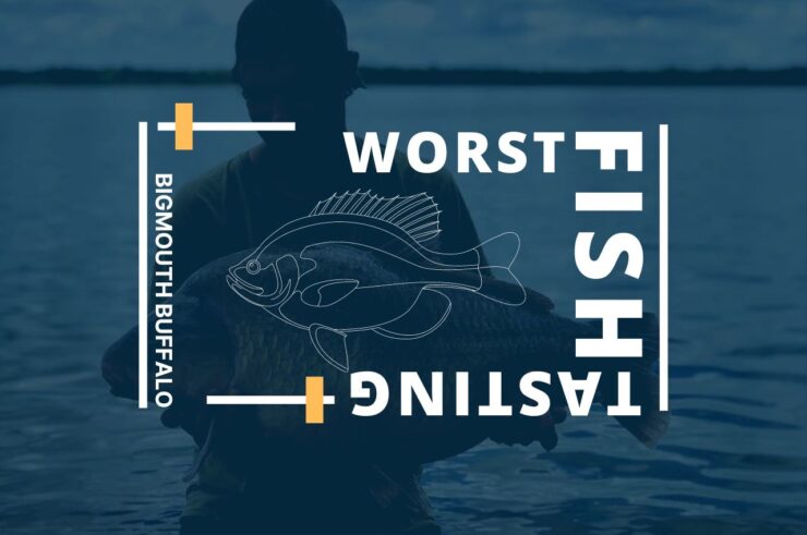 Worst Tasting Fish According to Anglers - Seafood You Should Avoid
