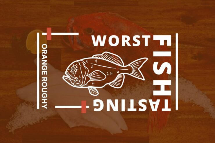 Worst Tasting Fish According to Anglers - Seafood You Should Avoid