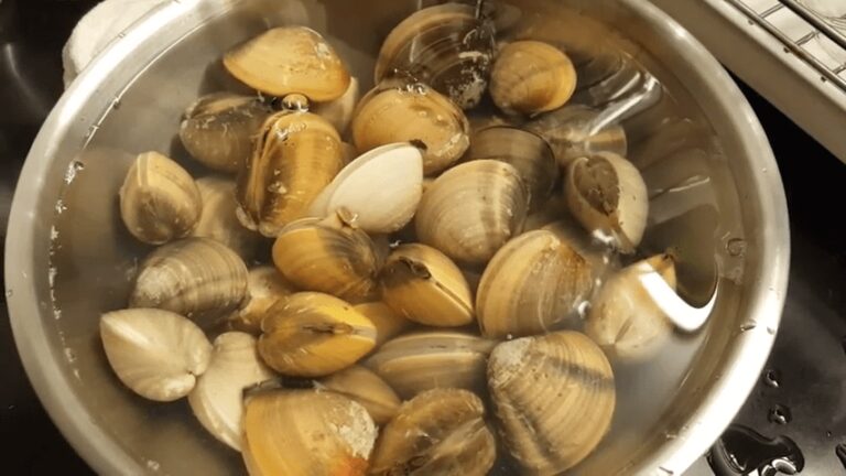 11 Best Clam Rake for Clam Digging 2024 - Shellfishing Equipment