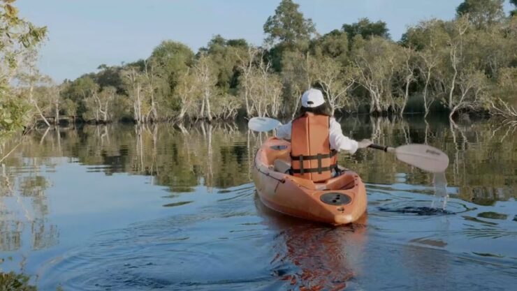 Difference Between Cheap and Expensive Kayaks - Pick the Right One