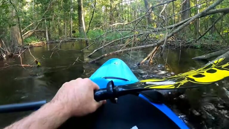 Kayaking With Alligators in Florida - Fun, Dangerous, and Necessary ...