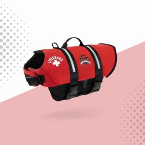 Best Kayak Dog Platforms, Seats, Deck, Attachments, & Outriggers ...