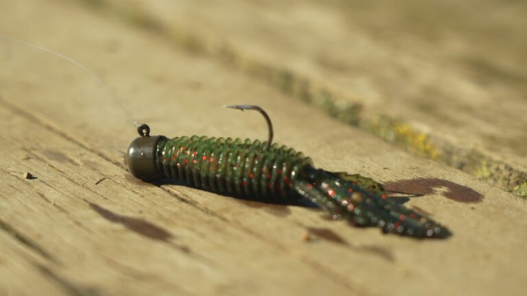 Ned Rig vs Texas Rig - Which Fishing Technique Reigns Supreme? - Kayak ...